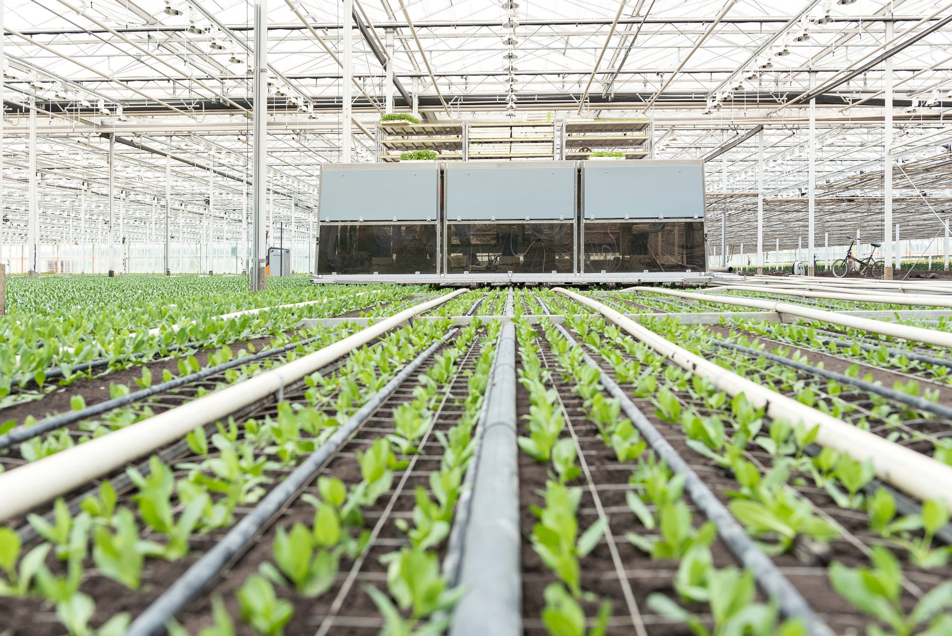 ISO - Horti Innovators - Bedrijfsinformatiegids NL
